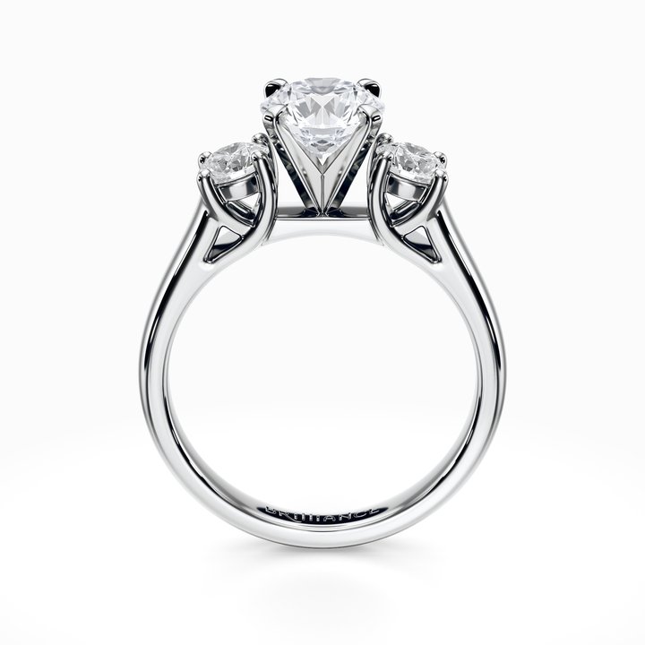 3 Round Stone Diamond Engagement Ring Setting In Platinum