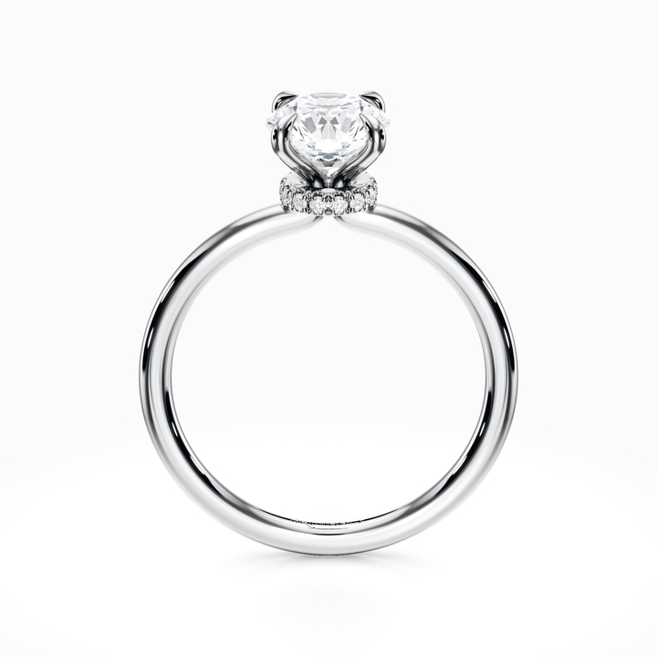 Engagement Ring with Diamond Collar in Platinum