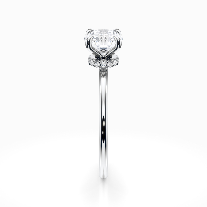 Engagement Ring with Diamond Collar in Platinum