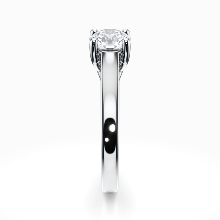 European Shank Ring Setting In White Gold