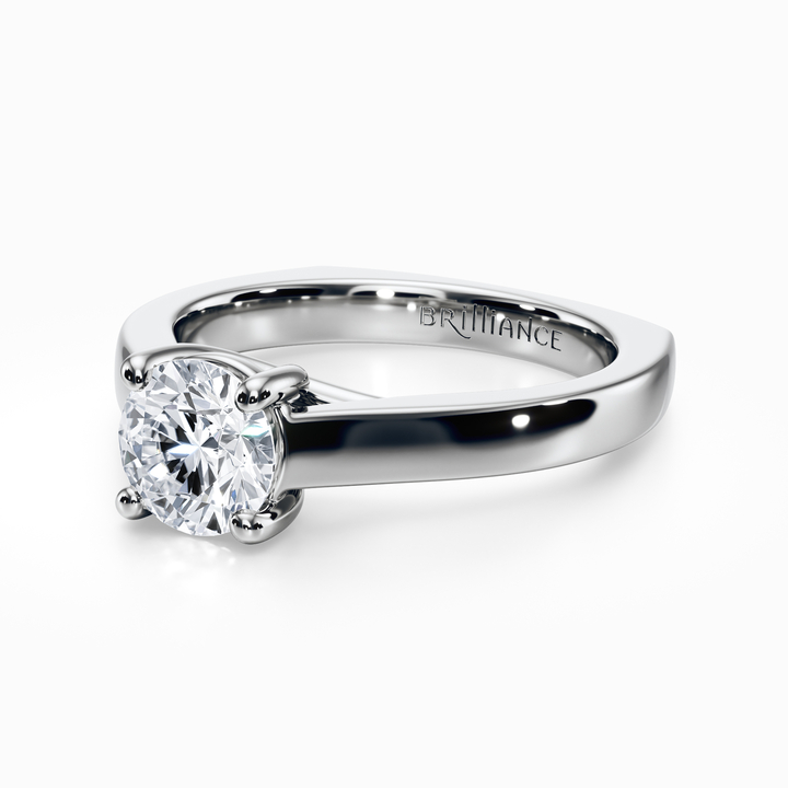 European Shank Ring Setting In White Gold