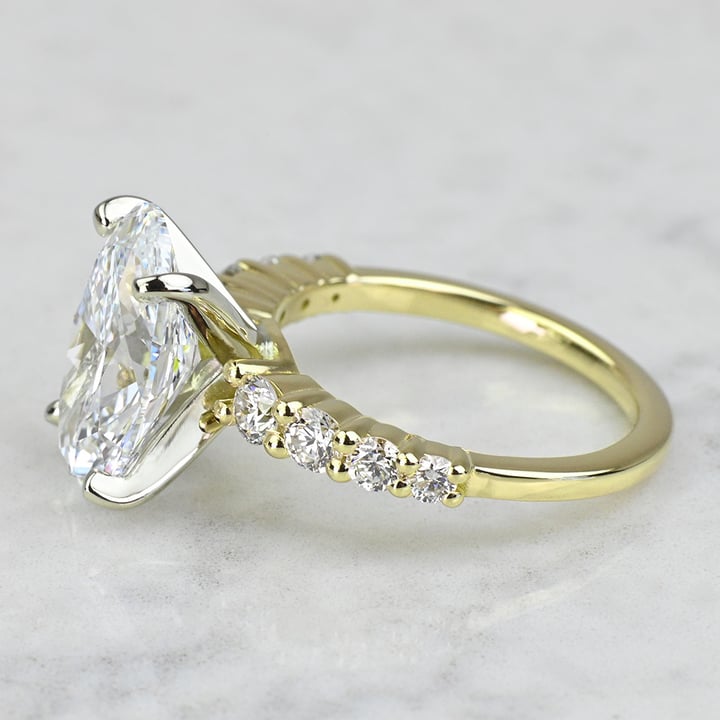 4 Carat Lab Created Oval Diamond Custom Shared Prong Engagement Ring