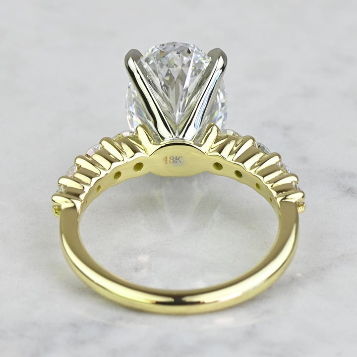 4 Carat Lab Created Oval Diamond Custom Shared Prong Engagement Ring
